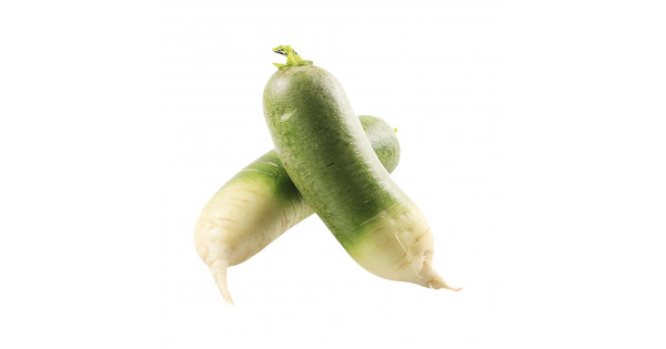 Green Radish/Lobok